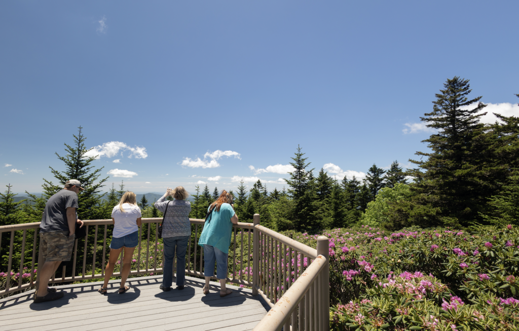 Summer in Roan Mountain, TN - Travel Taste and Tour Magazine