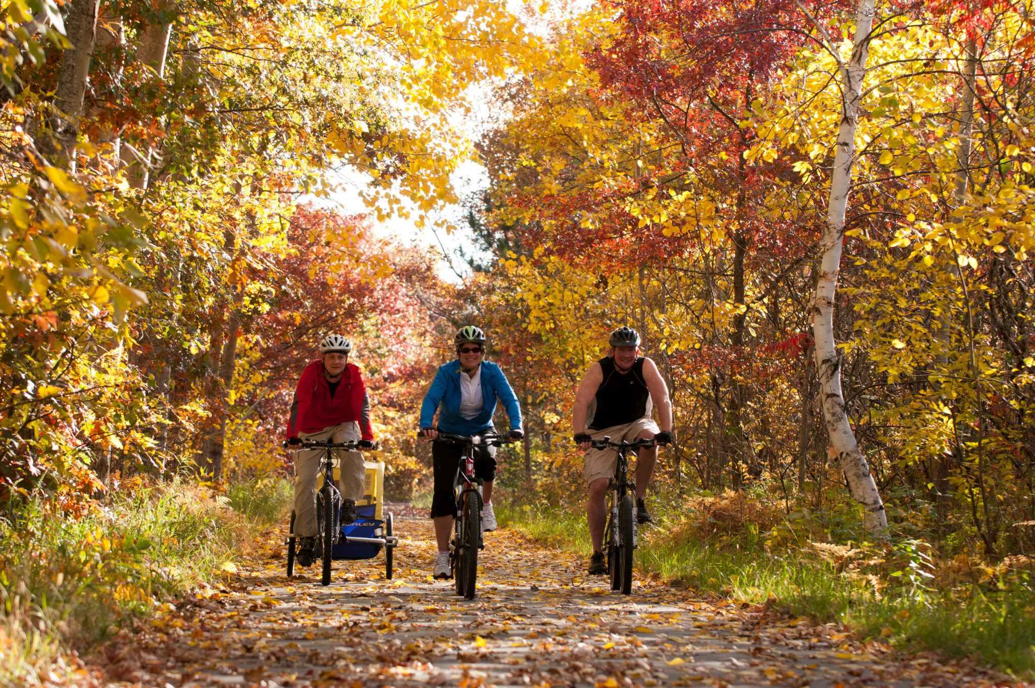 10 Fall Color Drives In Minnesota - Travel Taste and Tour Magazine